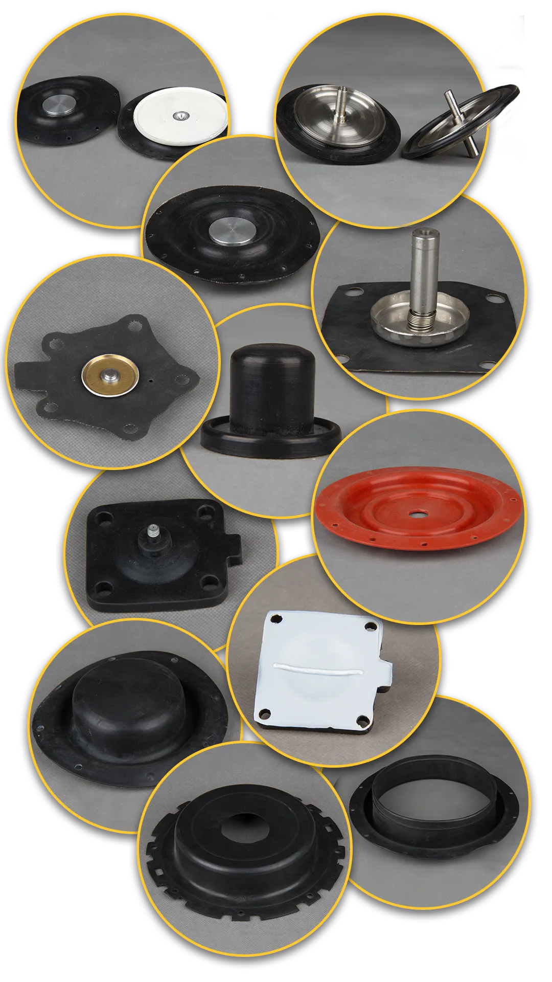 Diaphragm | Asia Andish